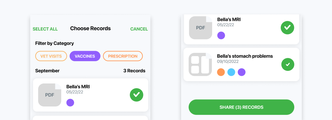 How to Share Pet Documents? – Pawscout